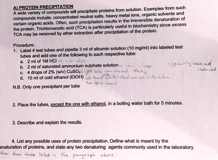 SOLVED: A PROTEIN PRECIPITATION A wide variety of compounds will ...