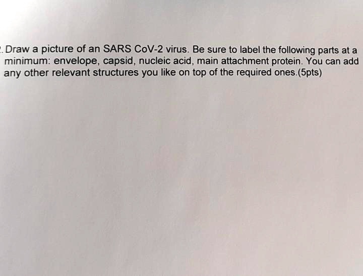 2. Draw a picture of an SARS CoV-2 virus. Be sure to label the ...
