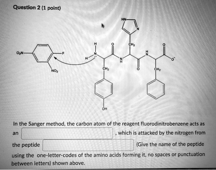 question 2 1 point ozn in the sanger method the carbon atom of the ...