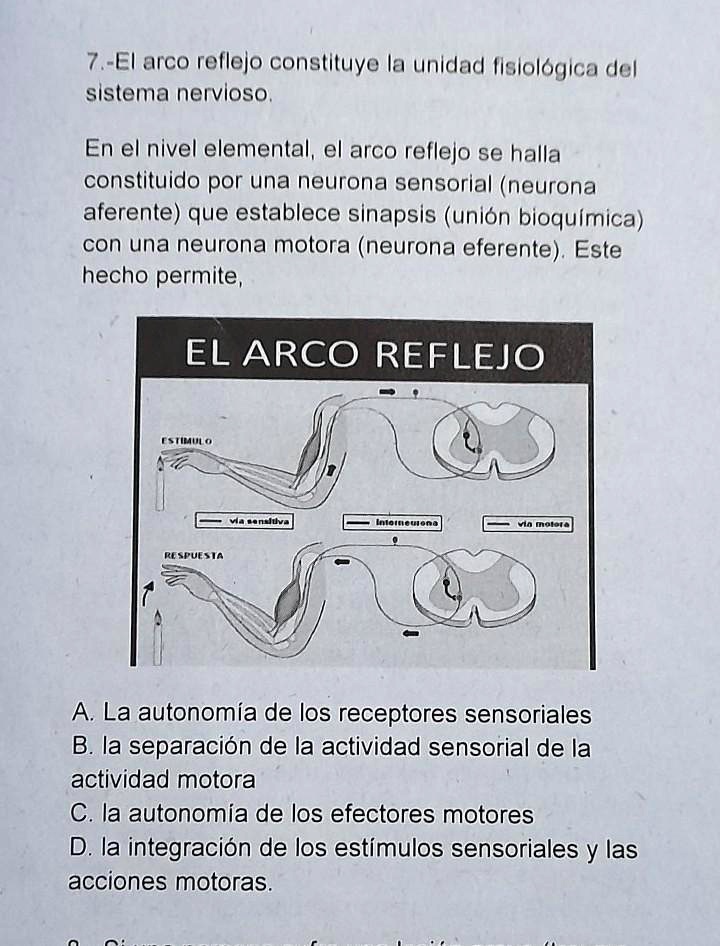 Ayuda plis cual es la respuesta 7elarco reflejo constituye...