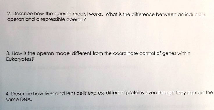 SOLVED: 2. Describe how the operon model works What is the difference ...
