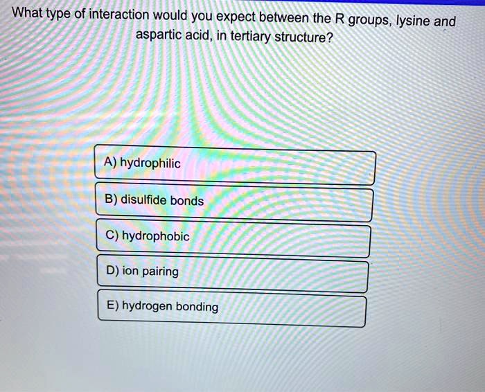 what type of interaction would you expect between the r groups lysine ...
