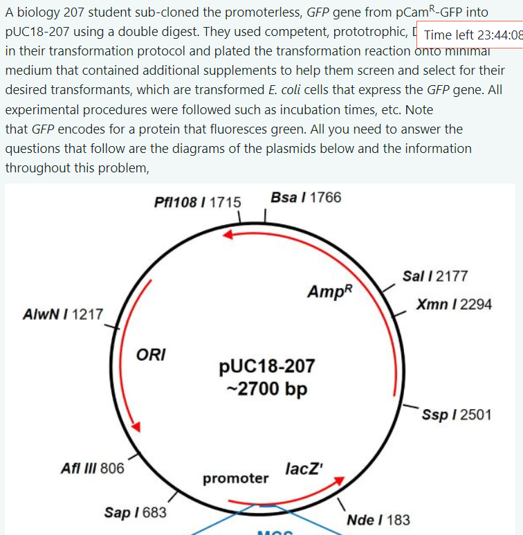 SOLVED: A biology 207 student sub-cloned the promoterless, GFP gene from pCam ^R-GFP into pUC18 ...