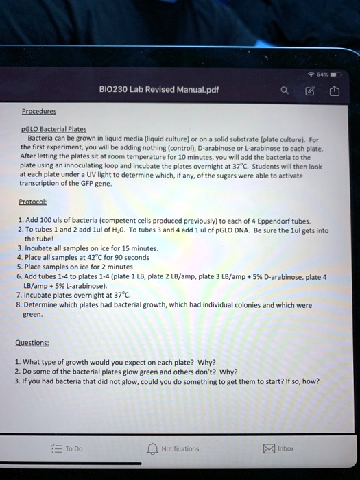 bio230 lab revised manual pdf proccdume pglq bacteml plates bucieria ...