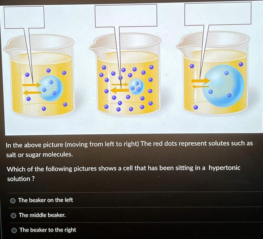 In the above picture (moving from left to right) The red dots represent ...