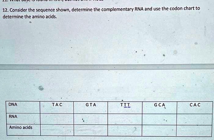 SOLVED: Consider the sequence shown, determine the complementary RNA ... SOLVED: Consider the sequence shown, determine the complementary RNA ...
