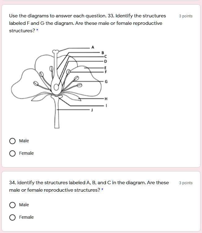helphelphelphelphelphelphelphelphelphelphelphelphelphelp use the diagrams to answer each ...