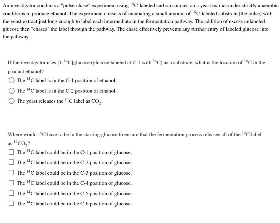 An investigator conducts a "pulse-chase" experiment using ^14C-labeled carbon sources on a yeast ...