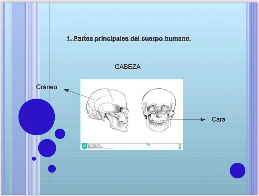 SOLVED: Me ayudan por favor hacer un mapa conceptual con este dibujo ... SOLVED: Me ayudan por favor hacer un mapa conceptual con este dibujo ...