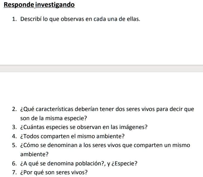 SOLVED: AYUDAA PLISSSSSS! :) Respondeinvestigando 1. Describí lo que ... SOLVED: AYUDAA PLISSSSSS! :) Respondeinvestigando 1. Describí lo que ...