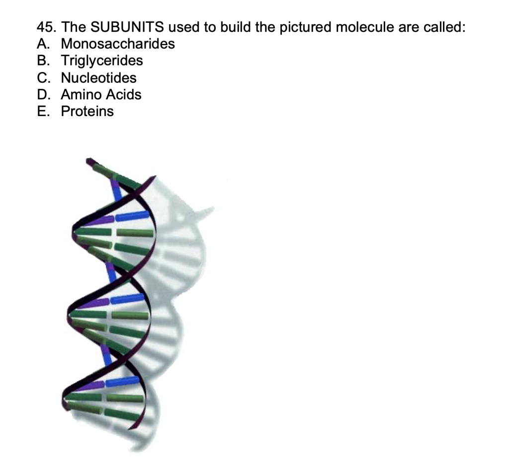 SOLVED: 45. The SUBUNITS used to build the pictured molecule are called ...