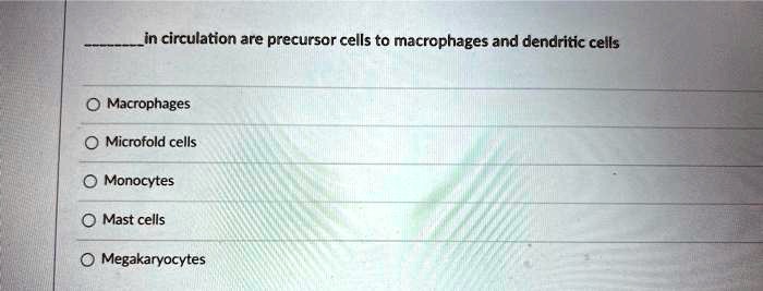 in circulation are precursor cells to macrophages and dendritic cells ...
