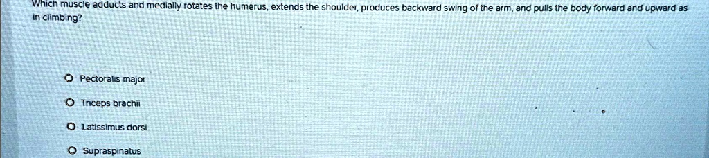 Which muscle adducts and medially rotates the humerus, extends the ...