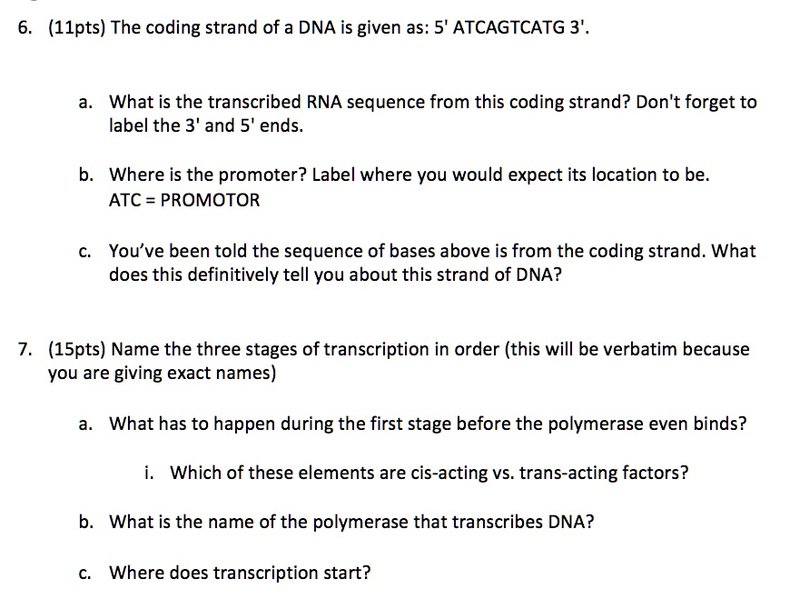 SOLVED:(1lpts) The coding strand of a DNA is given as: 5' ATCAGTCATG 3 ...