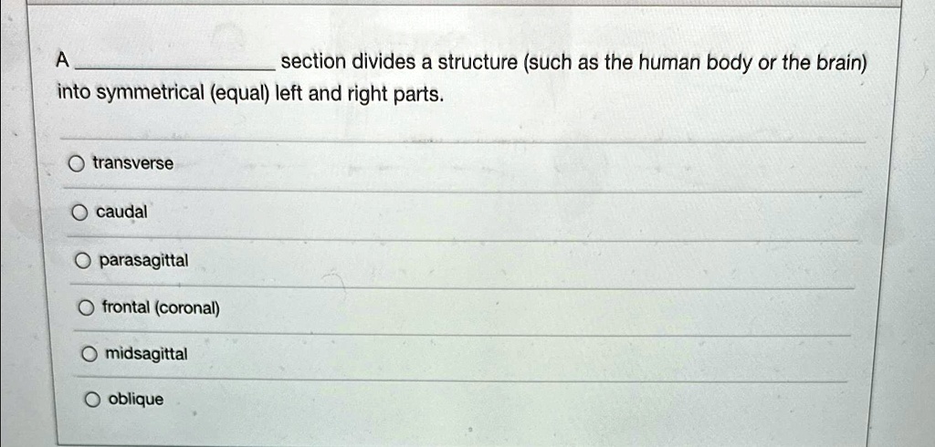 A section divides a structure (such as the human body or...