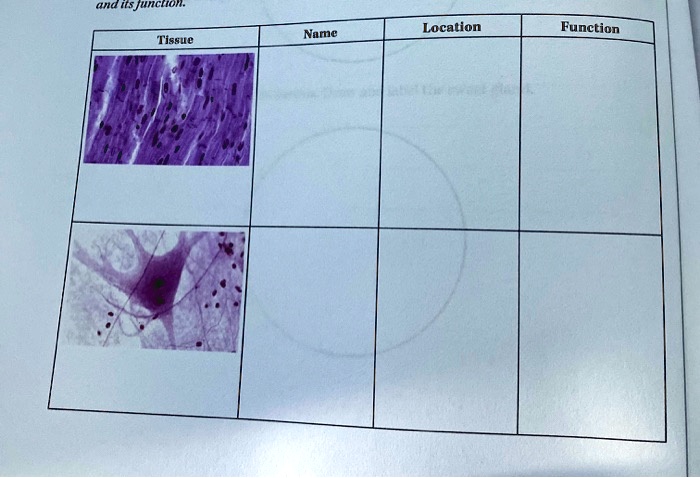 SOLVED: Text: For the table below, identify each of the tissues, give an example of where the ...