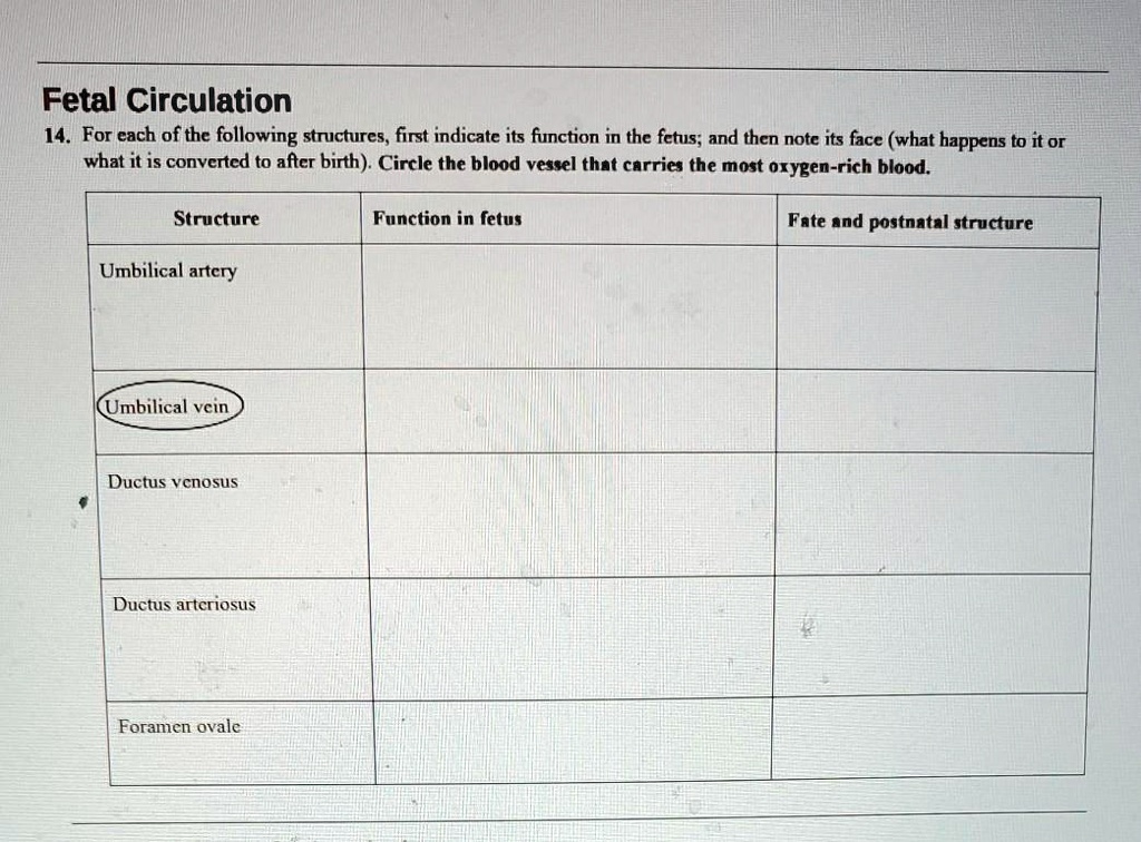 SOLVED: Fetal Circulation 14. For each of the following structures ...