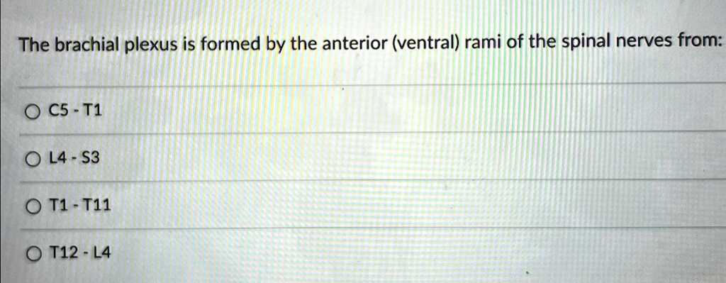 The brachial plexus is formed by the anterior (ventral) rami of the ...