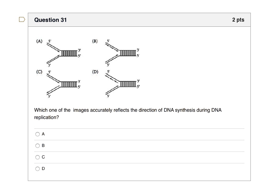 SOLVED: Question 31 2 pts Which one of the images accurately reflects ... SOLVED: Question 31 2 pts Which one of the images accurately reflects ...