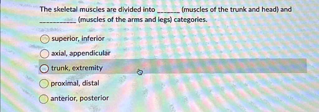 SOLVED: The skeletal muscles are divided into (muscles of the trunk and ...