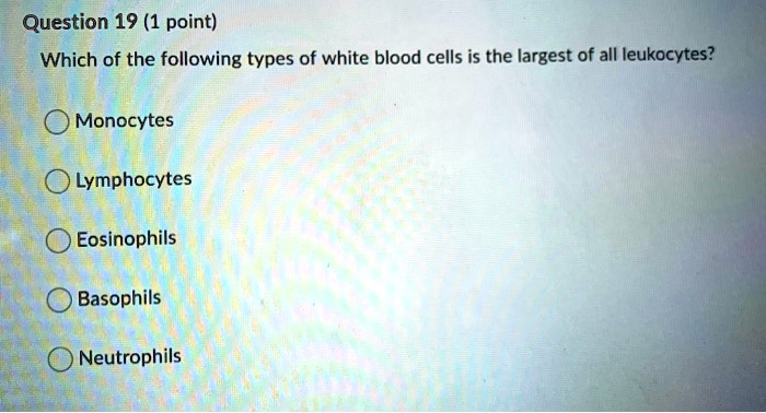 question 19 1 point which of the following types of white blood cells ...