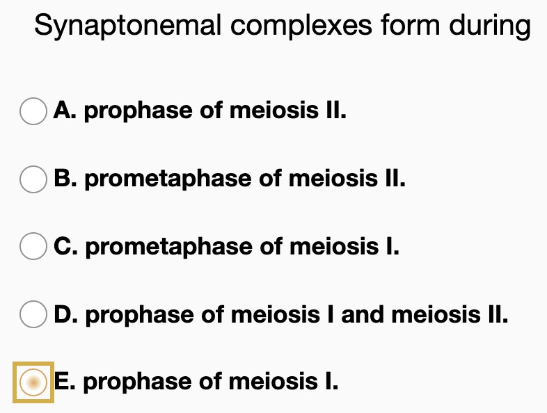 synaptonemal complexes form during a prophase of meiosis ii b ...