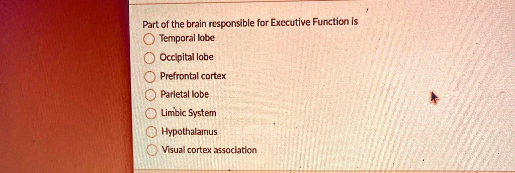 Part of the brain responsible for Executive Function is Temporal lobe ...