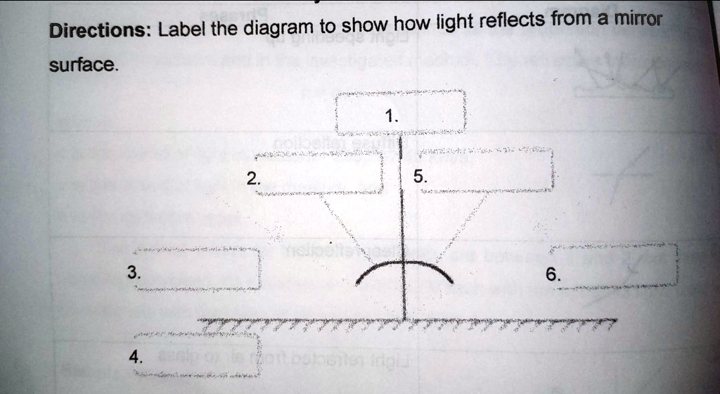 Directions: Label the diagram to show how light reflects from a mirror ...