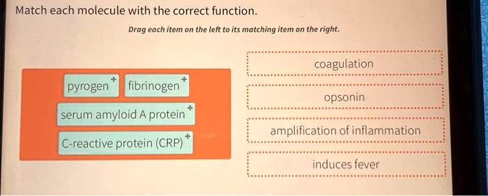 Match each molecule with the correct function. Drag each item on the ... Match each molecule with the correct function. Drag each item on the ...