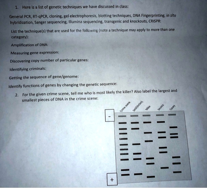 SOLVED:Here is a list of genetic techniques we have discussed in class ...