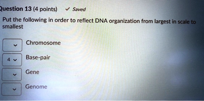 SOLVED: Question 13 (4 points) Saved Put the following in order to reflect DNA organization from ...