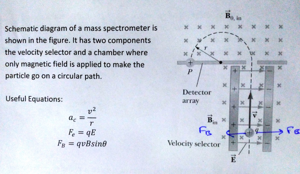 SOLVED: Schematic diagram of a mass spectrometer is shown in the figure ...