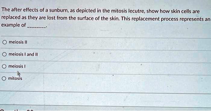 SOLVED: The after effects of a sunburn, as depicted in the mitosis ...