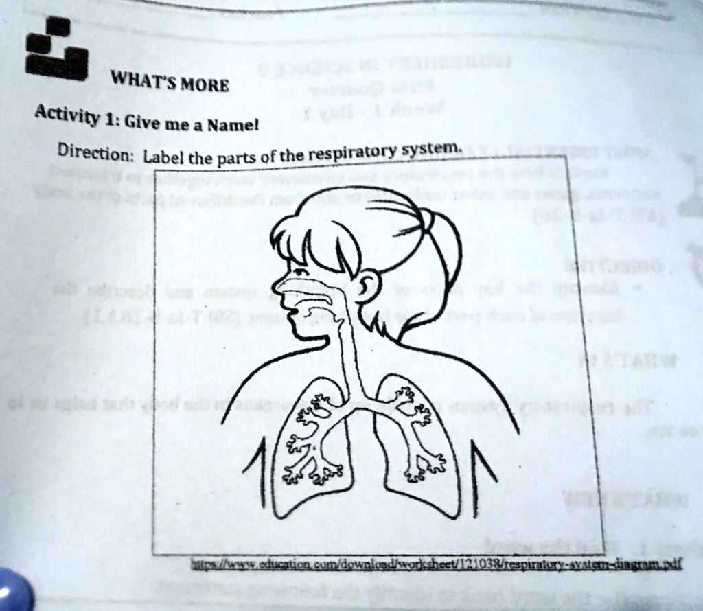 WHAT'S MORE Activity 1: Give me a Name! Direction: Label the parts of ...
