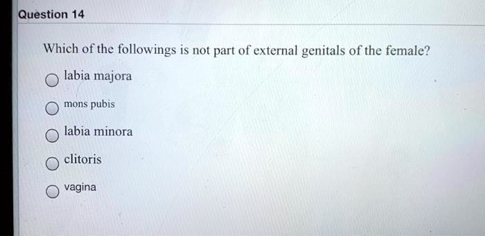 SOLVED: Question 14 Which of the followings is not part of external ...