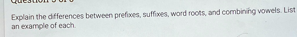 SOLVED: Explain the differences between prefixes, suffixes, word roots ...