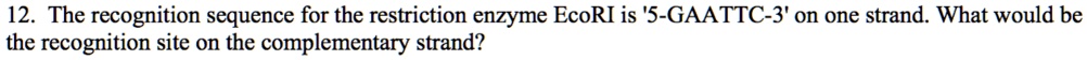 12. The recognition sequence for the restriction enzyme EcoRI is '5 ...