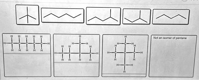 SOLVED: Match the carbon skeleton formulas for the three isomers of ...
