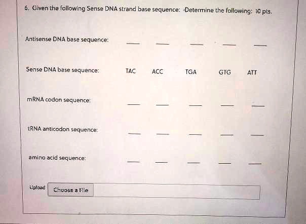 SOLVED:Given tha following Sense DNA strand base sequence: Determine ...