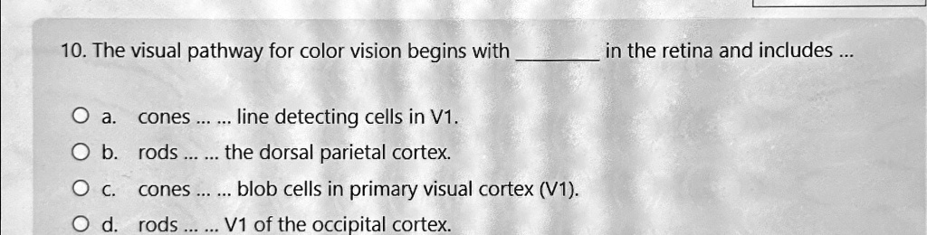 the visual pathway for color vision begins with in the retina and ...