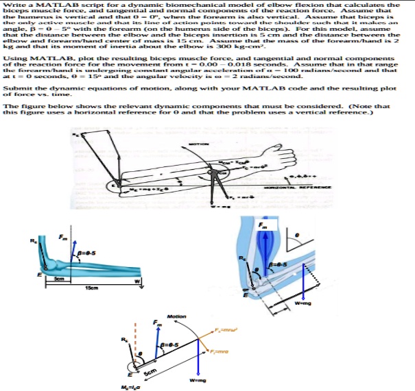 Write a MATLAB script for a dynamic biomechanical model of elbow ...