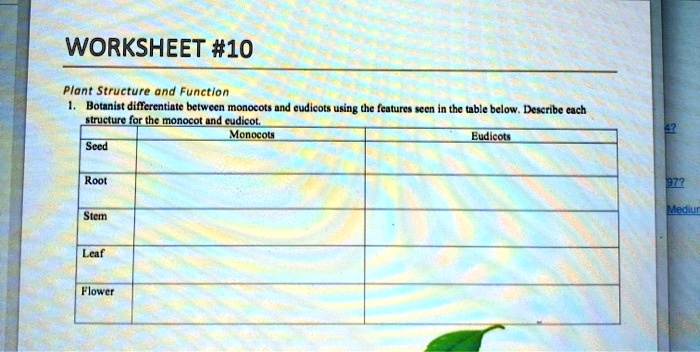 SOLVED: WORKSHEET #10 Plant Structure and Function Botanist ...