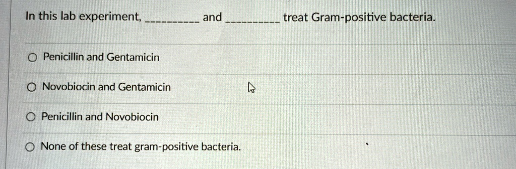 in this lab experiment and treat gram positive bacteria penicillin and gentamicin novobiocin and ...