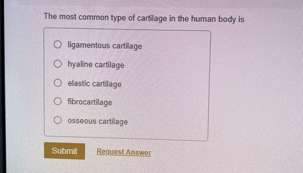 the most common type of cartilage in the human body is ligamentous ...