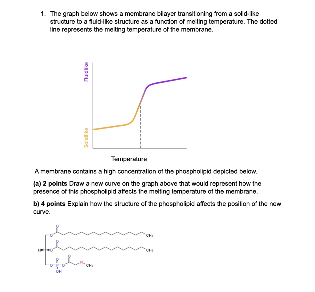 1. The graph below shows a membrane bilayer transitioning from a solid ...
