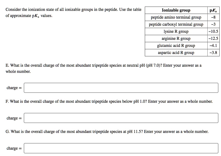 consider the ionization state of all ionizable groups in the peptide ...