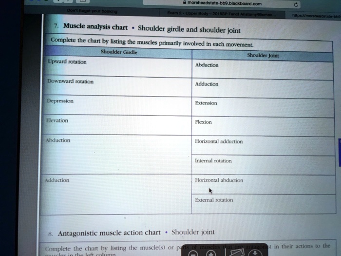 SOLVED: Muscle analysis chart: Shoulder girdle and shoulder joint ...