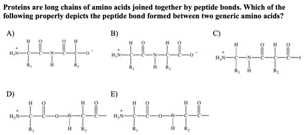 proteins are long chains of amino acids joined together by peptide ...