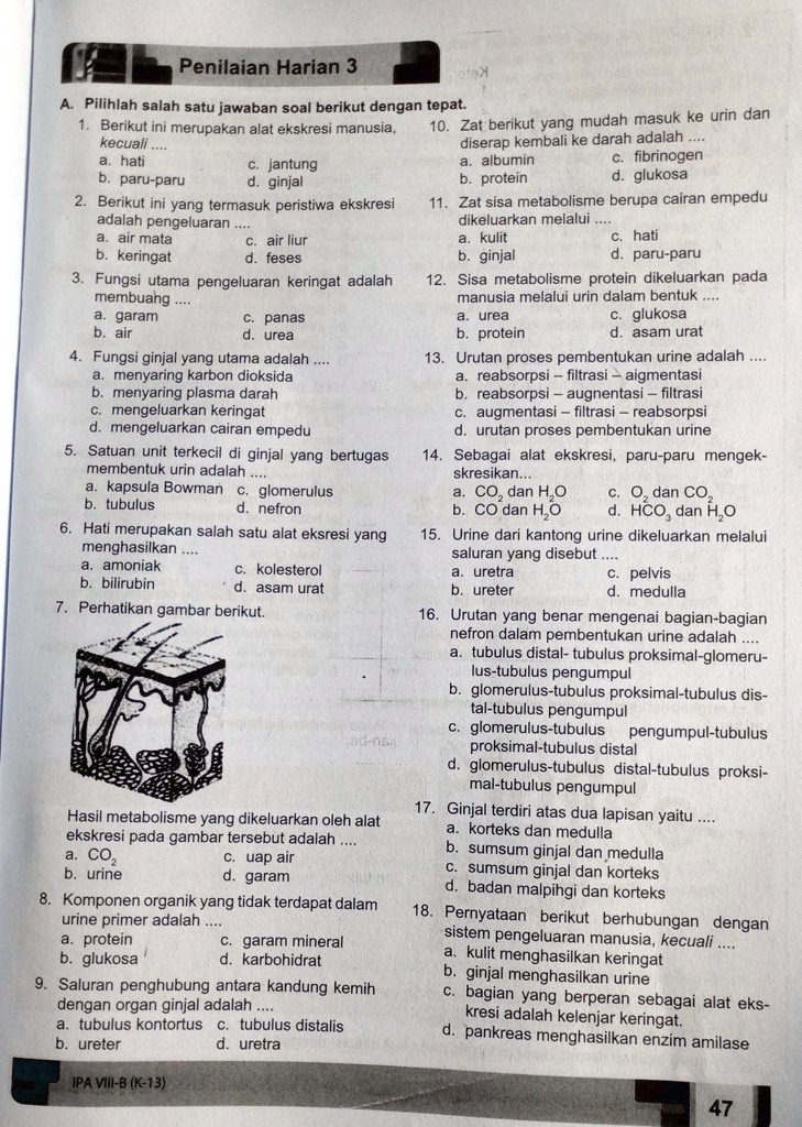SOLVED: Soal terlampir jawab dengan benar Penilaian Harian 3 Pilihlah ... SOLVED: Soal terlampir jawab dengan benar Penilaian Harian 3 Pilihlah ...