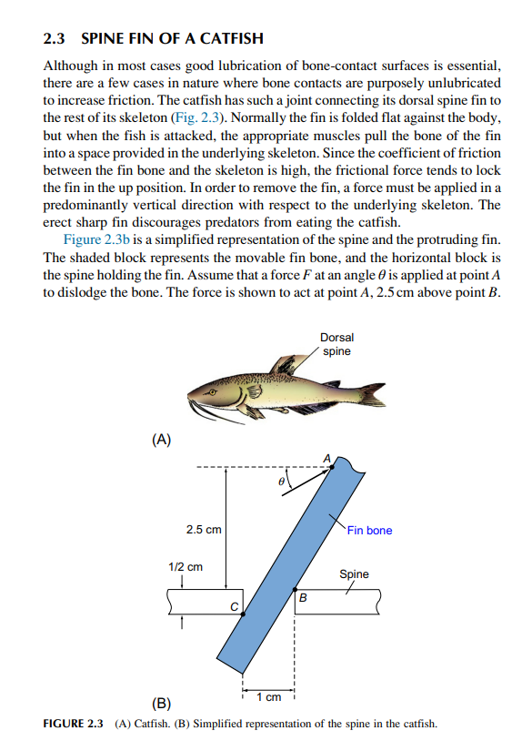 SOLVED: 2.3 SPINE FIN OF A CATFISH Although in most cases good ...